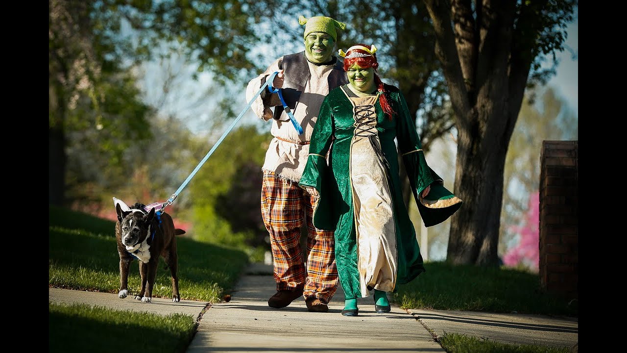 Lexington couple dresses in full costume for their daily dog walk - YouTube