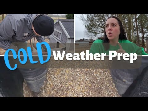 COLD!! Weather is Coming | Winter Weather Prep - YouTube