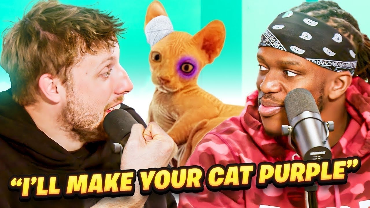 W2S WANTS TO PUNCH'S KSI CAT - YouTube