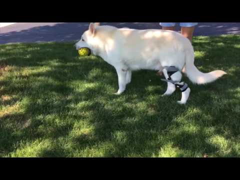 Stonewall with Hero Brace June 19th 2016 - YouTube