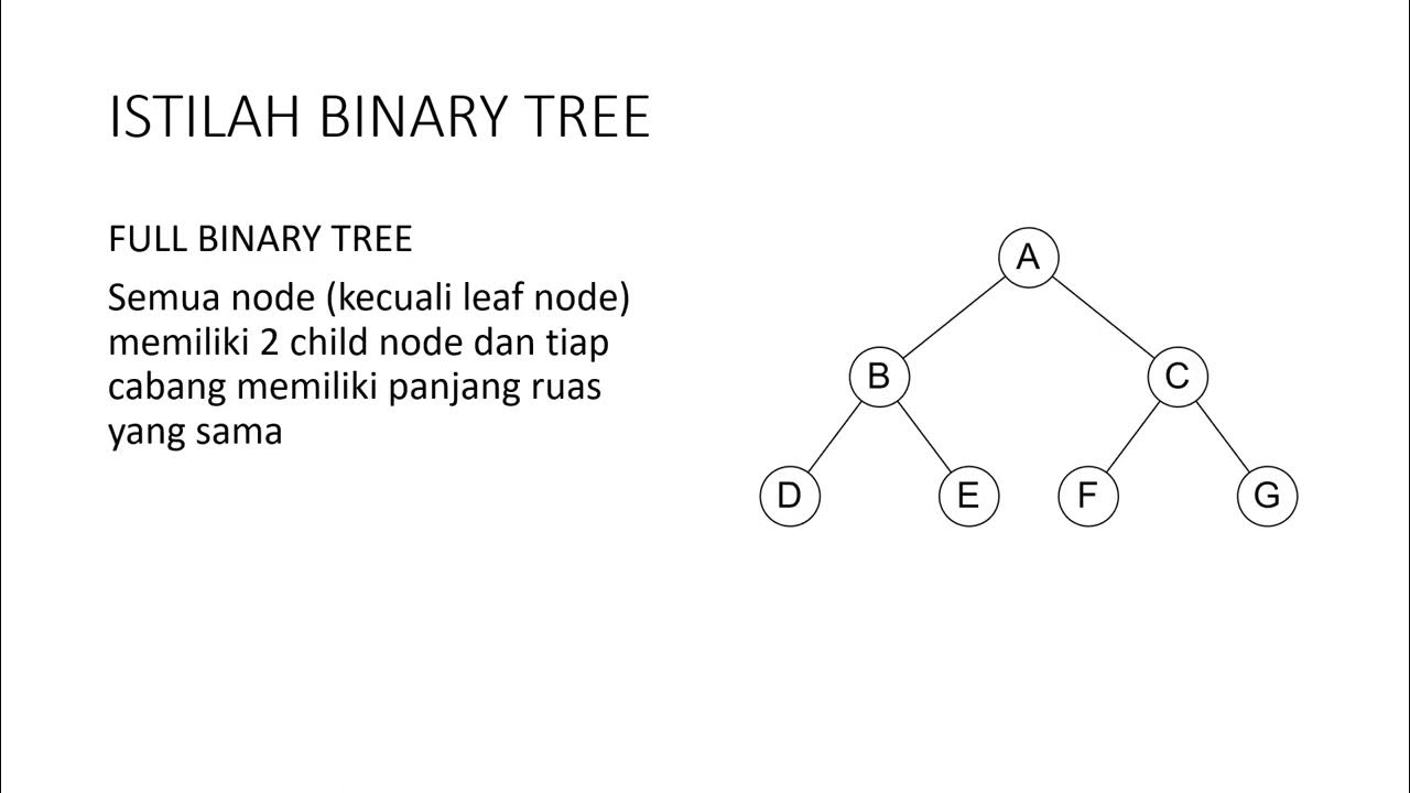 BINARY TREE - YouTube