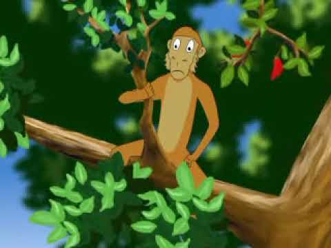 Monkey Trouble - YouTube