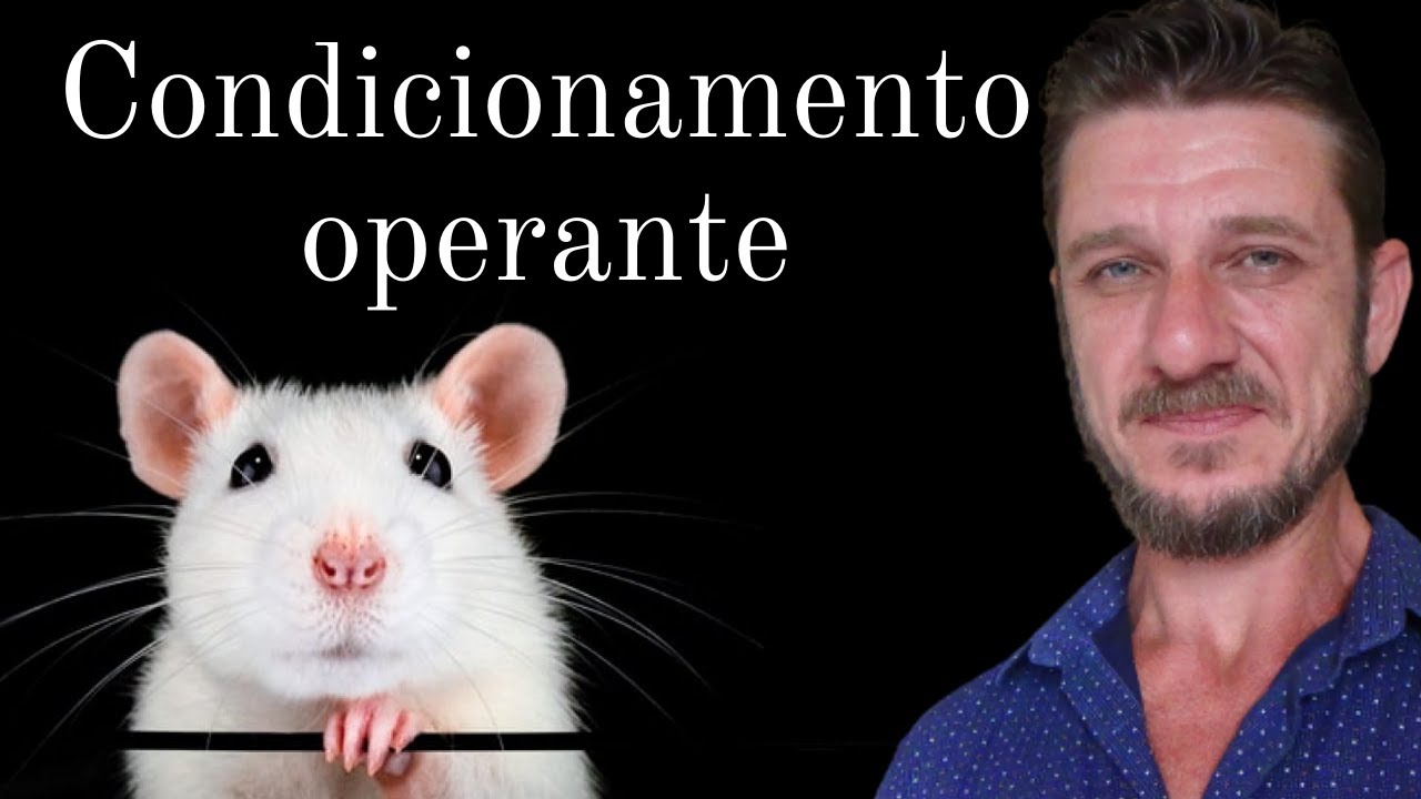 Skinner e o condicionamento operante | A caixa de Skinner - YouTube