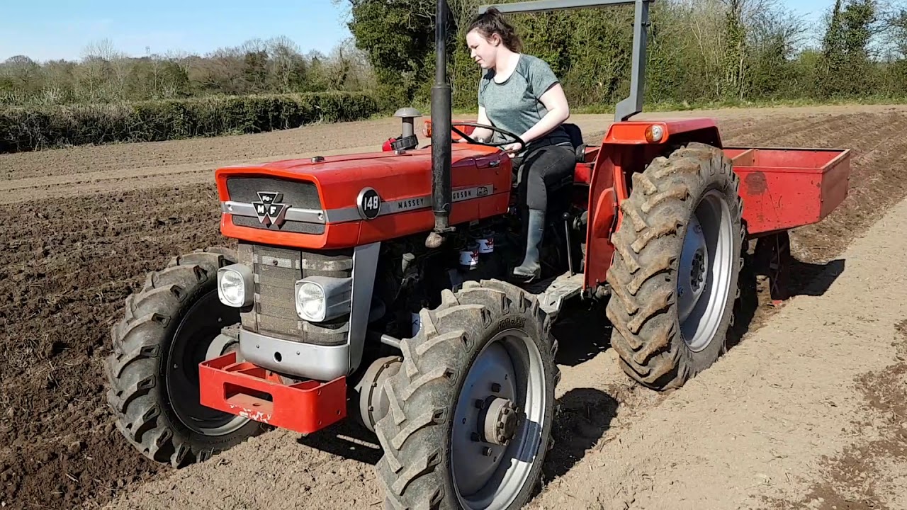Mf 148 sowing potatoes with mf automatic planter - YouTube