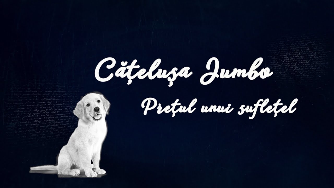 19. Catelusa Jumbo - Povestirea de seara cu Unchiu' Lucian - YouTube