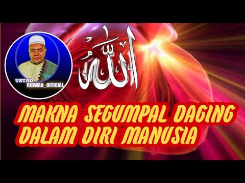 Makna Segumpal Daging Dalam Diri Manusia #Ceramah Agama - YouTube