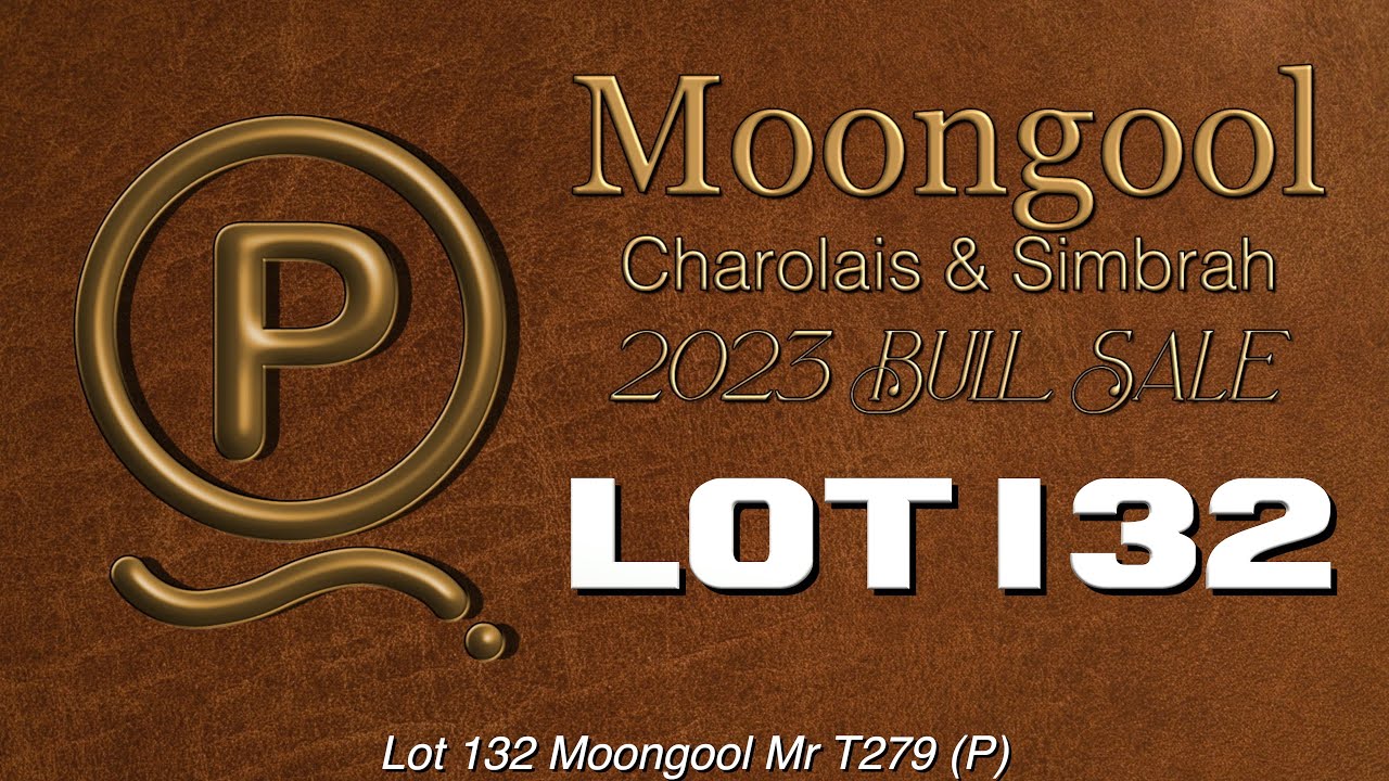 Lot 132 Moongool Mr T279 (P) - YouTube