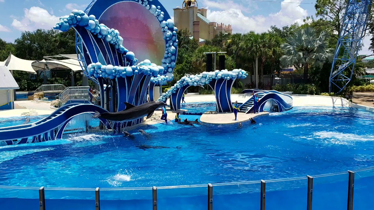 Fun in the son. SeaWorld - YouTube