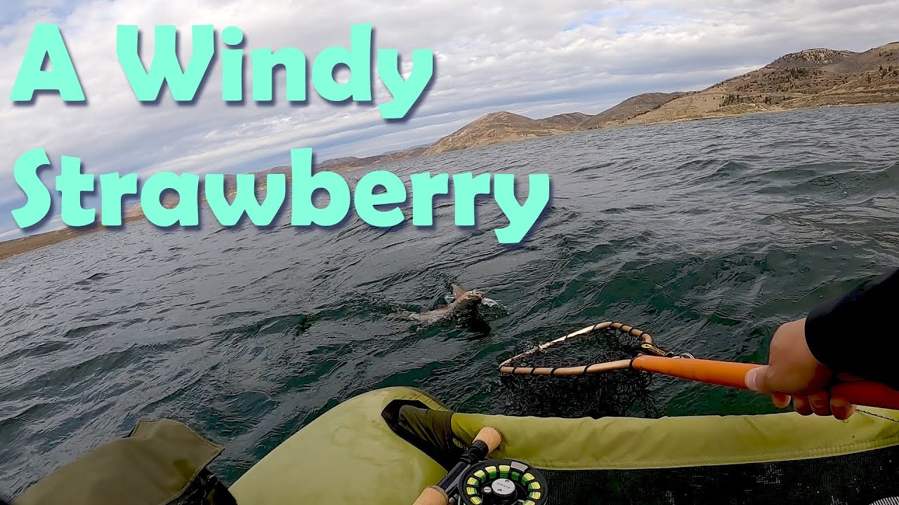 Fly Fishing a Windy Late Fall Day on Strawberry Reservoir - YouTube