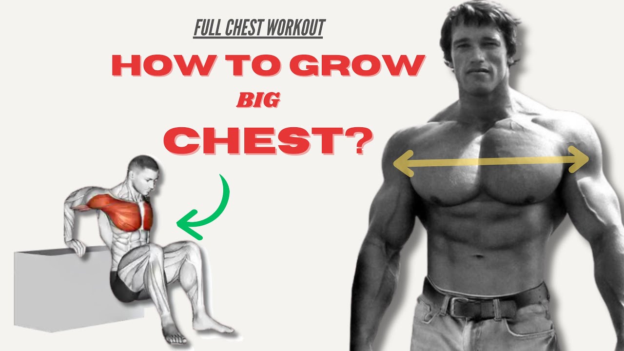 How To Grow Big Chest? | Full Chest Workout - YouTube