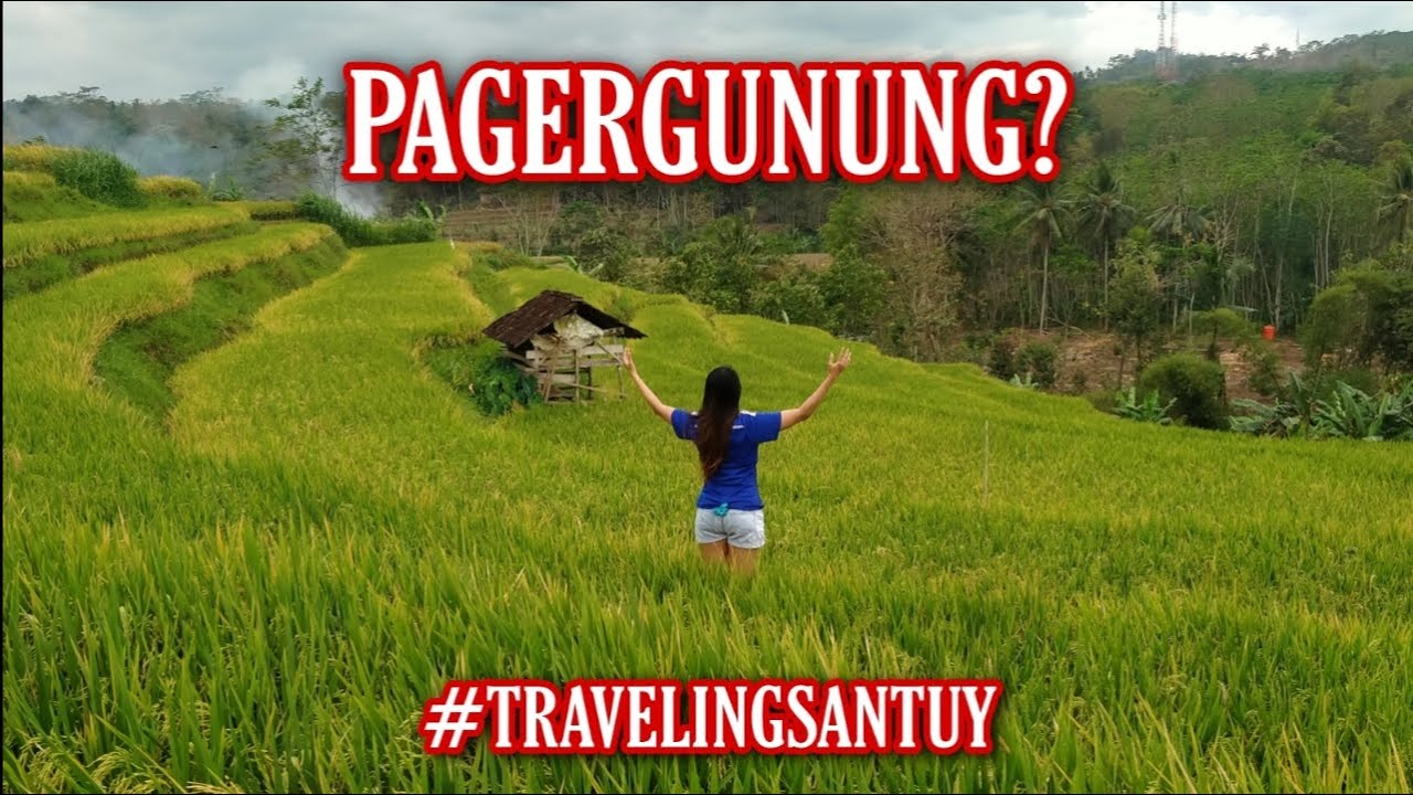 SUASANA PEDESAAN DI JAWA TIMUR #TRAVELINGSANTUY - YouTube