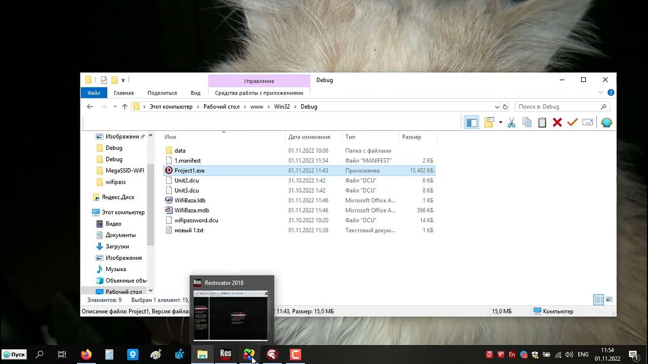 Delphi + база Access Microsoft Office.Прблемы и их решение. - YouTube