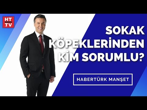 #CANLI - Sokak köpeklerinden kim sorumlu?
