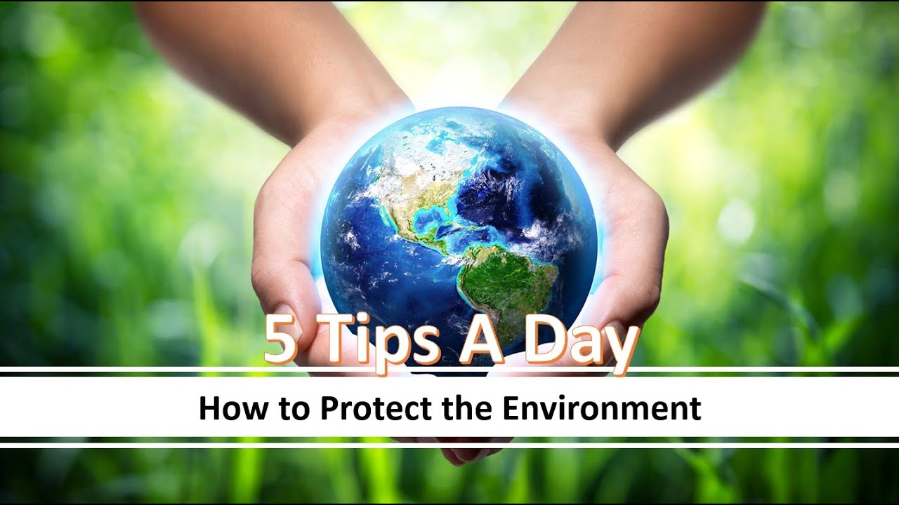 5 Tips a Day: How to Protect the Environment｜Basic Tips｜Love your Earth ...