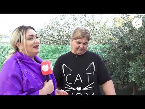 Ləziz macəra - Lənkəran (Liman)