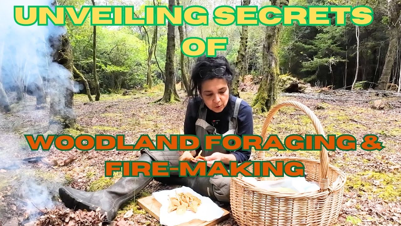 From forest to feast: Unveiling the secrets of woodland foraging and ...