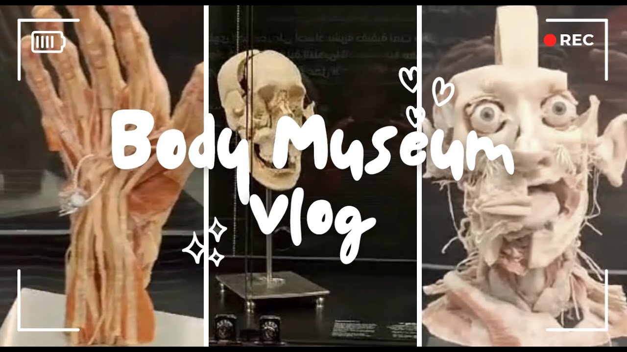 BODY MUSEUM VLOG (´･ω･`) I Part 4 I Khalifa University I Abu Dhabi I ...