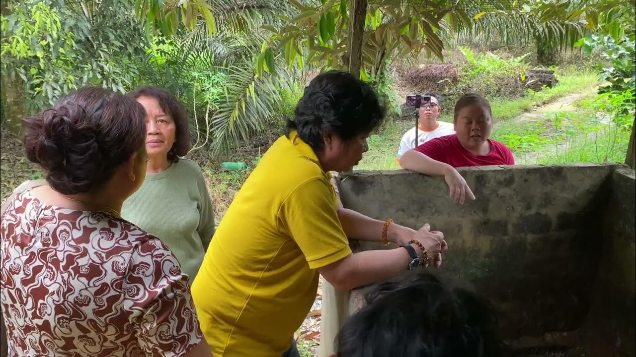 Tr Janggu,En,Nuli Jimbat Meli Babi 5 Iko kena Begawai - YouTube