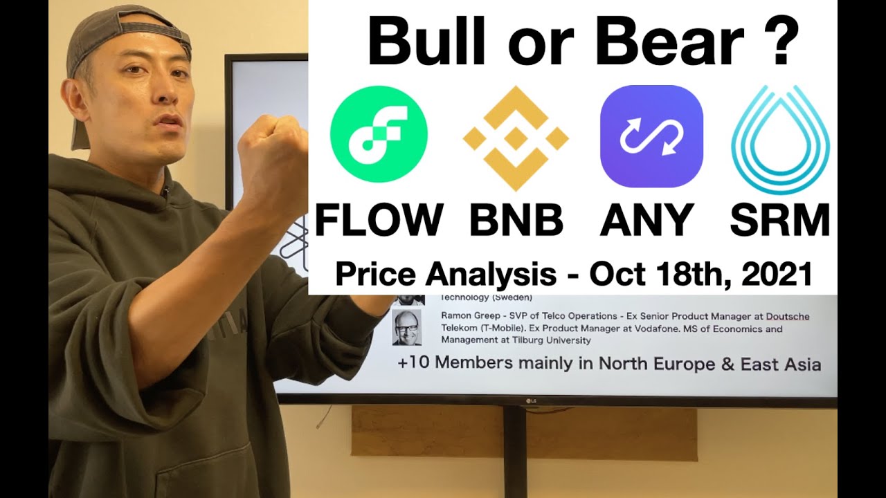 Bull or Bear? - FLOW, BNB, ANY, SRM - Oct 19th - YouTube