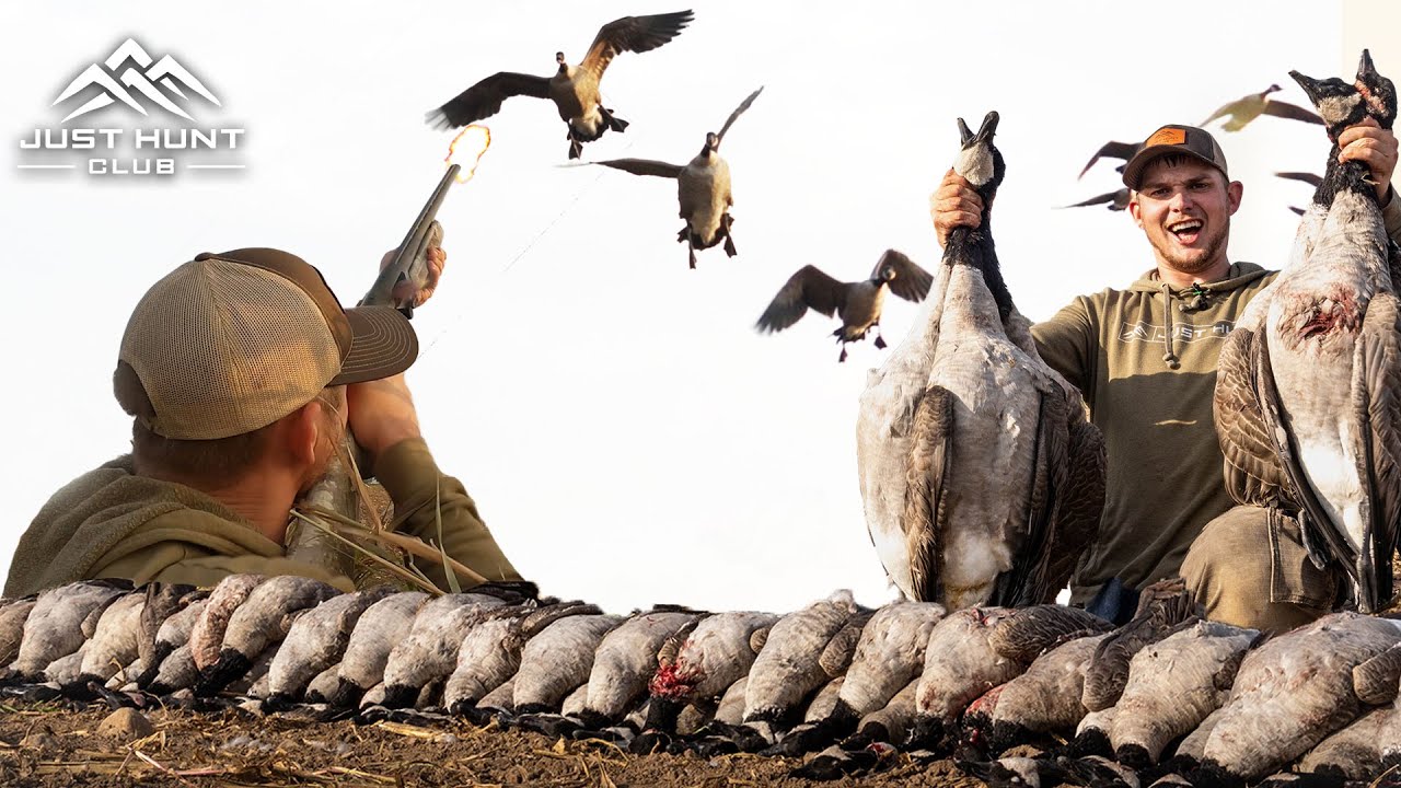 Epic September Goose Hunt in New York - Four Gun Shootout! - YouTube