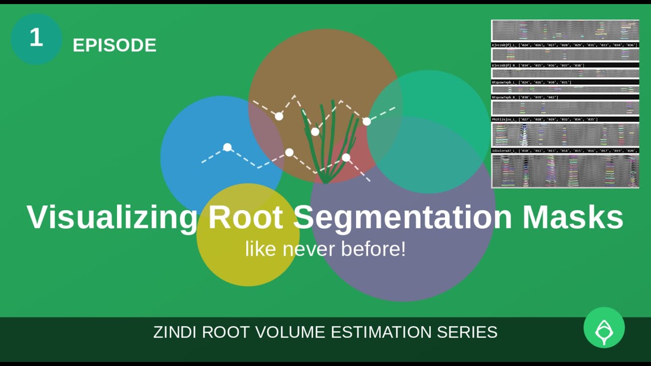 [Zindi CGIAR 1] Unveiling Hidden Patterns: Visualizing Root Segmentation Masks Like Never Before ...
