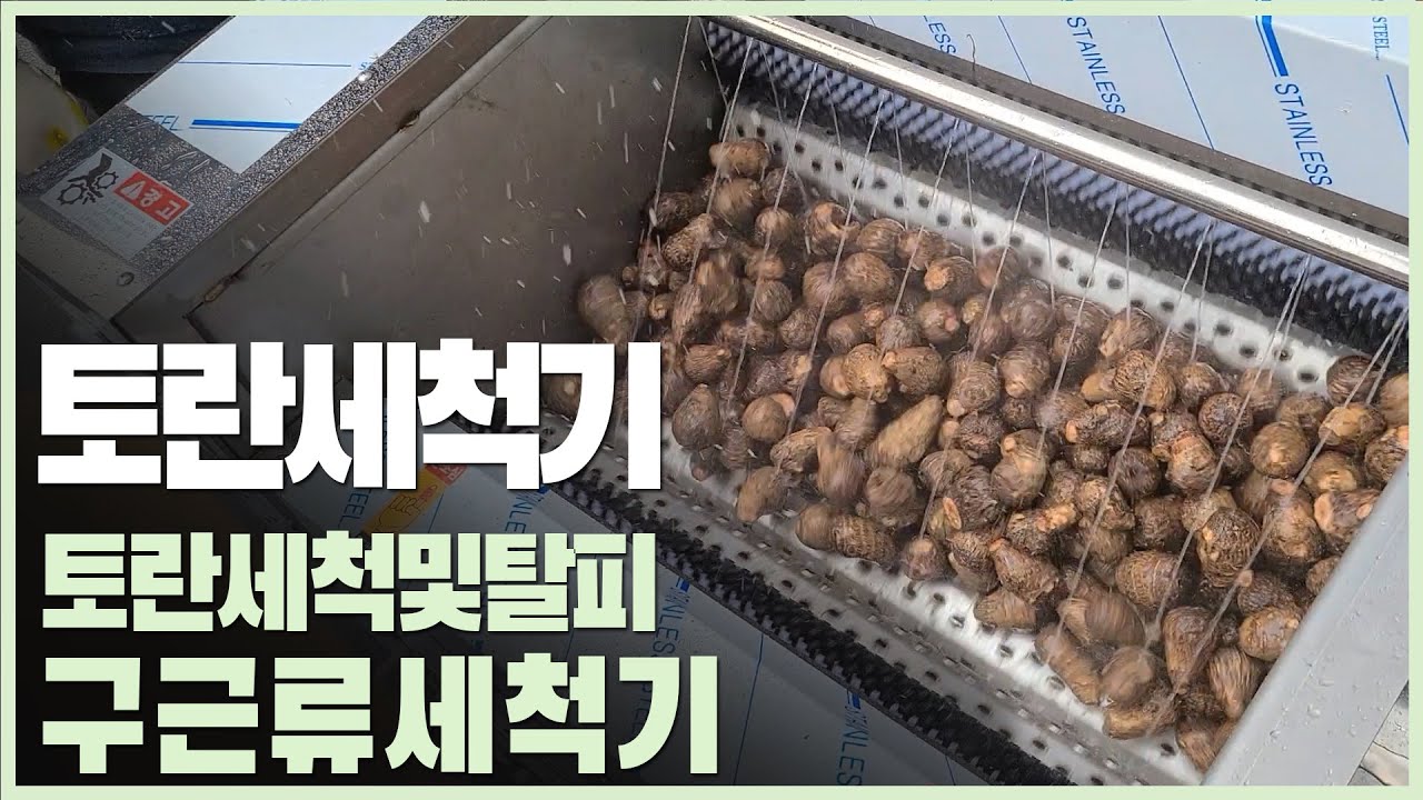 구근류탈피기 토란세척기 농산물세척기(Bulb Washer Taro Washer) - YouTube