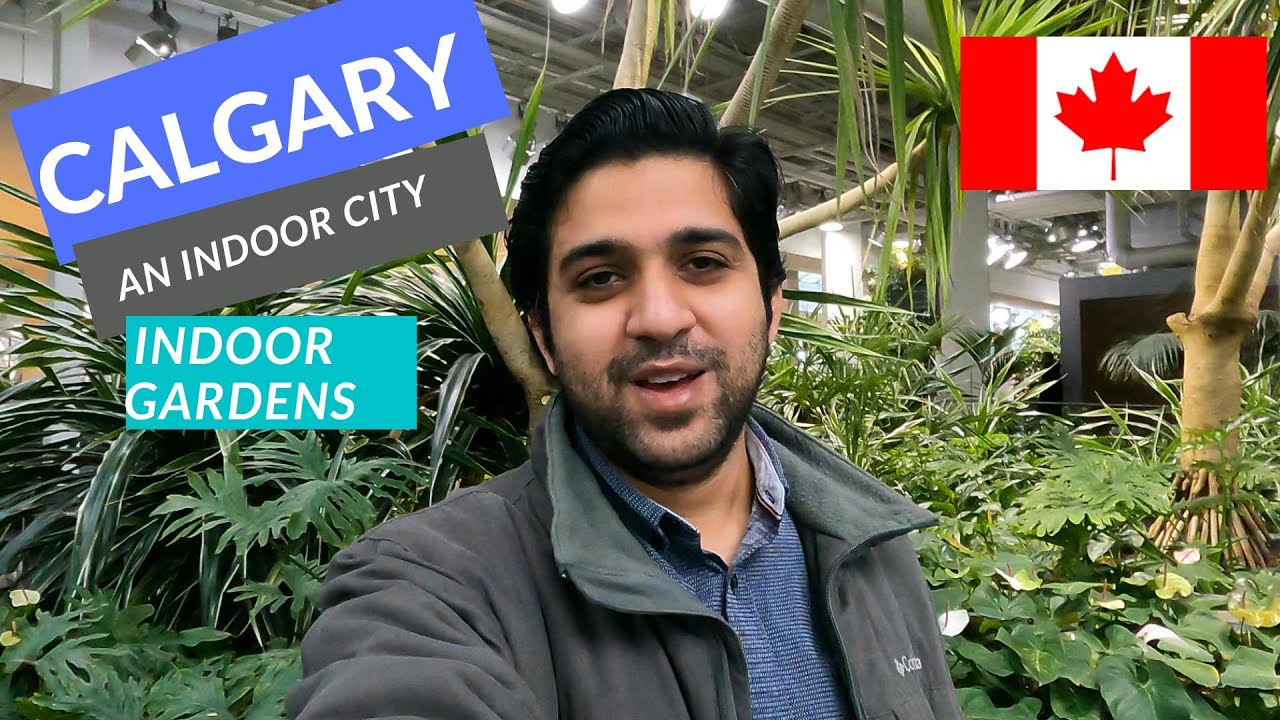 Calgary Downtown | Plus 15 Skywalk 🇨🇦 - YouTube