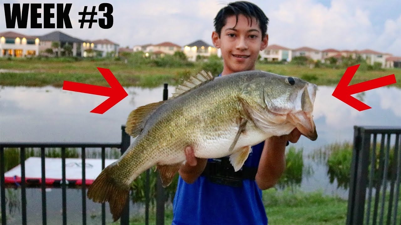 I CAUGHT AN 8 POUND BASS!!! - Week #3 - YouTube