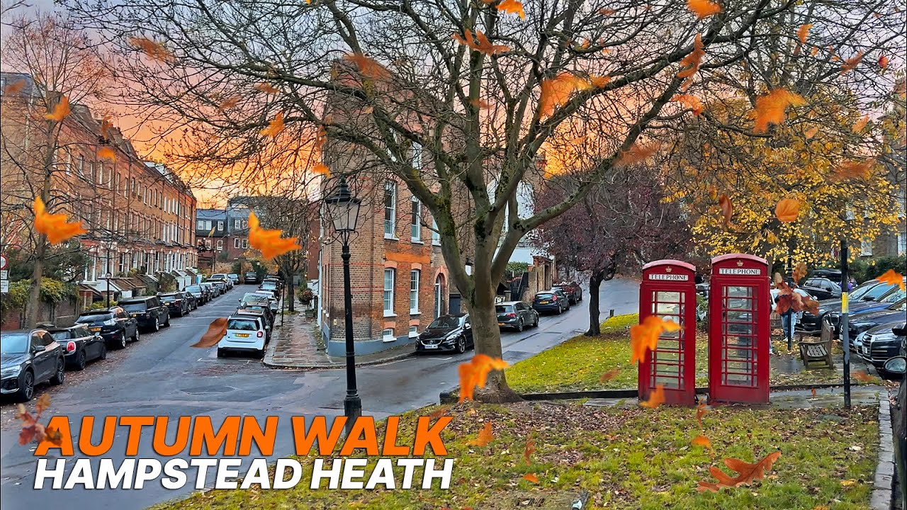 Autumn walk in Hampstead Heath, a relaxing walking route 🍂🌇 - YouTube