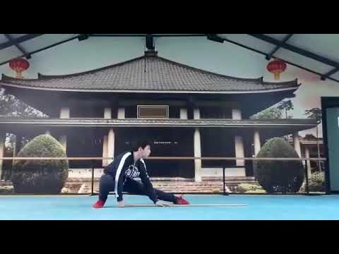 Kung fu kids