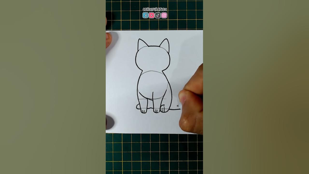 Cómo Dibujar Un Gato 🐱🐈 Youtube