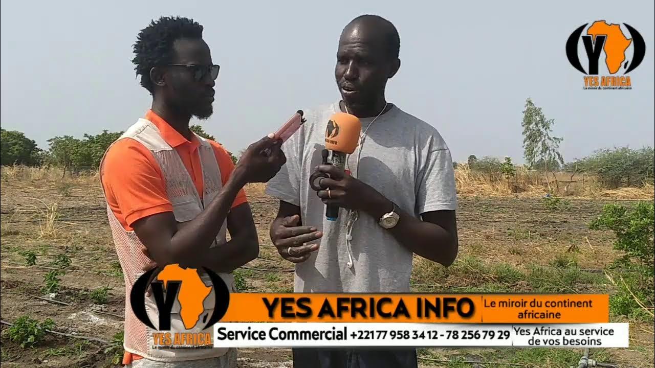 1Émission Nemekou Djambare avec le grand cultivateur de riz sur la scène Yes Africa info babacar ...