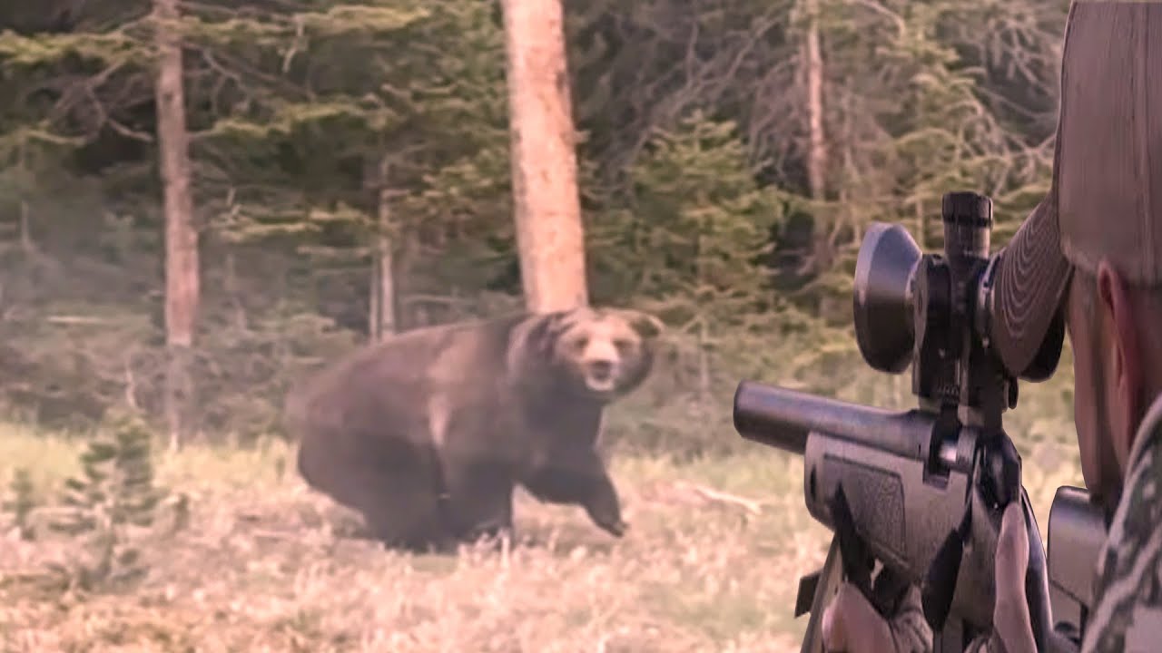 One of the most amazing confrontations between the bear and the hunter ...