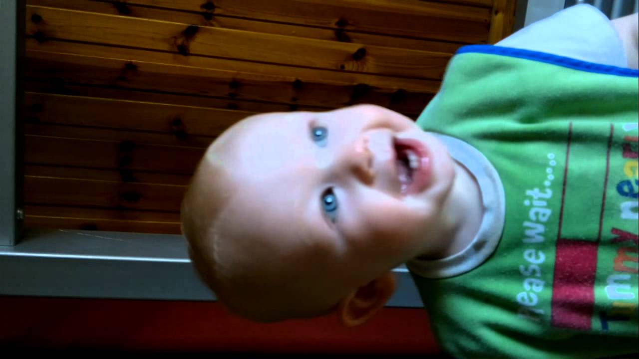 Ollie sheep laughing - YouTube