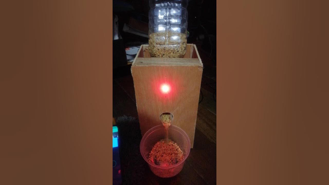 AUTOMATIC AND MANUAL CAT FEEDER Using arduino nodemcu and blynk - YouTube