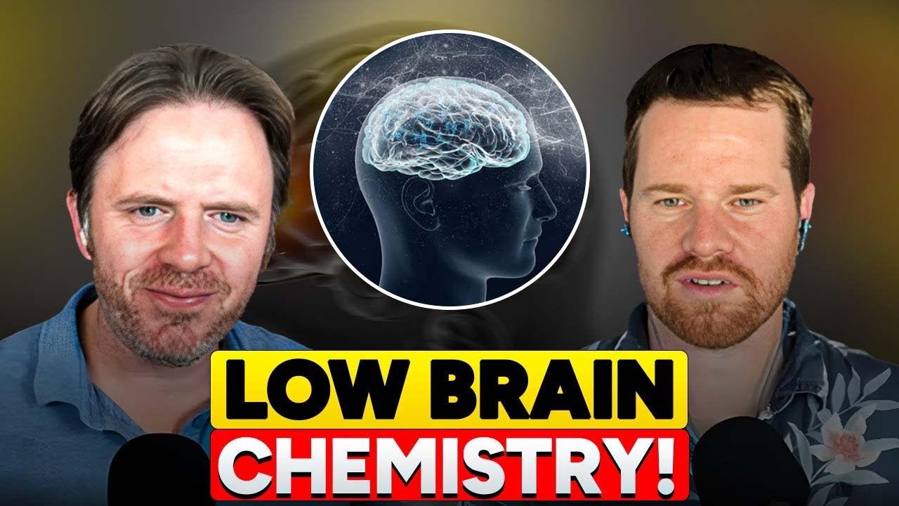Low Brain Chemistry Explained Causes Signs and Solutions - YouTube