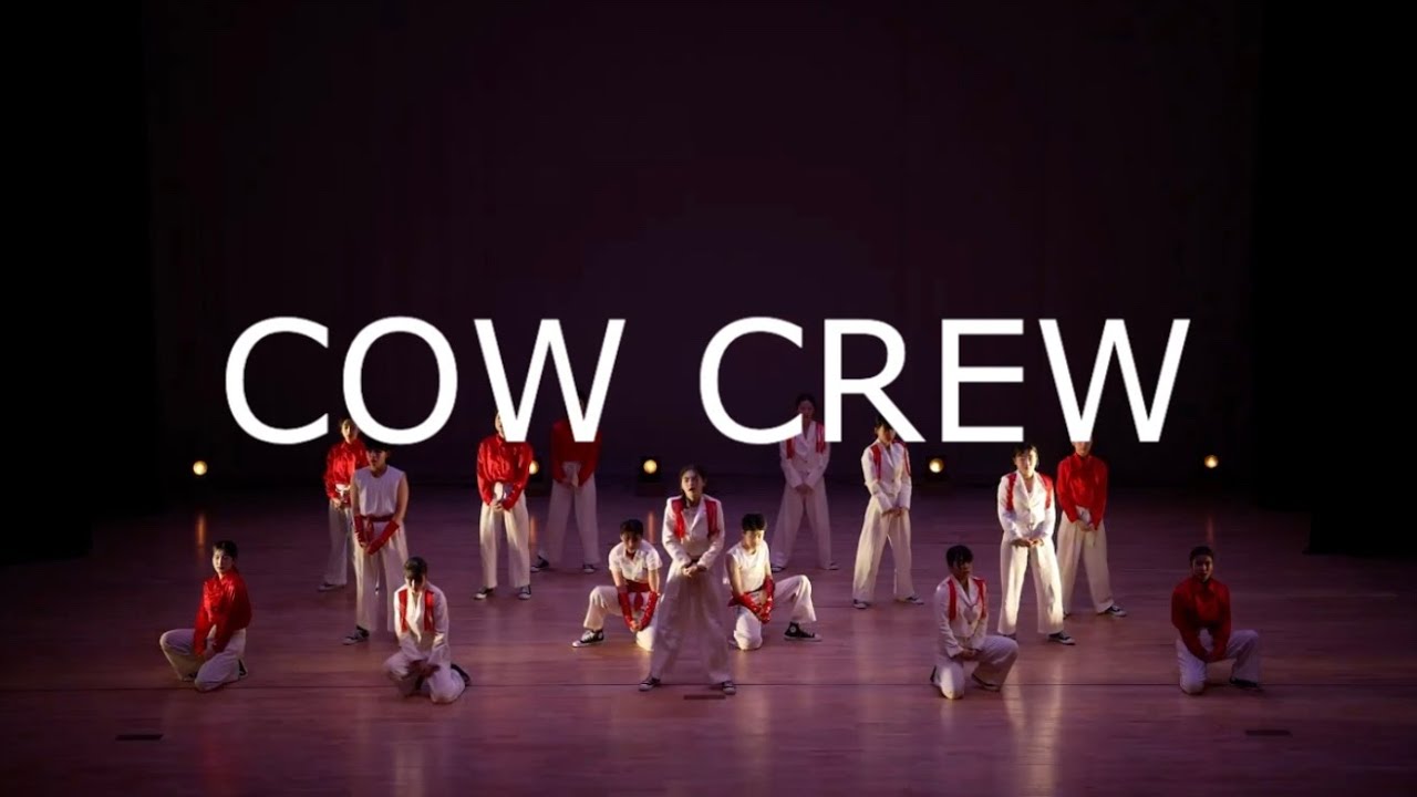 Cow crew | SHO 실용예술학원 | 9주년 | 9th anniversary - YouTube
