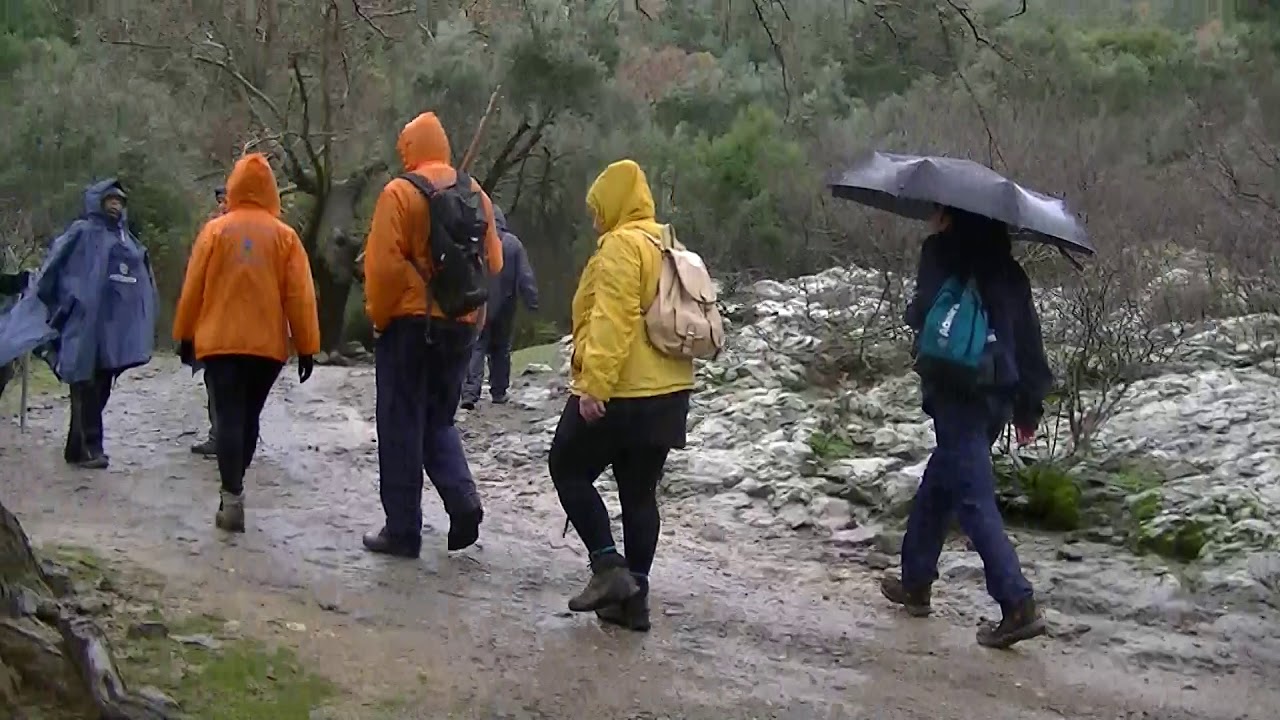 Πεζοπορια στην περιοχή της Ανεμώτιας,Βιντεο 3ο - YouTube