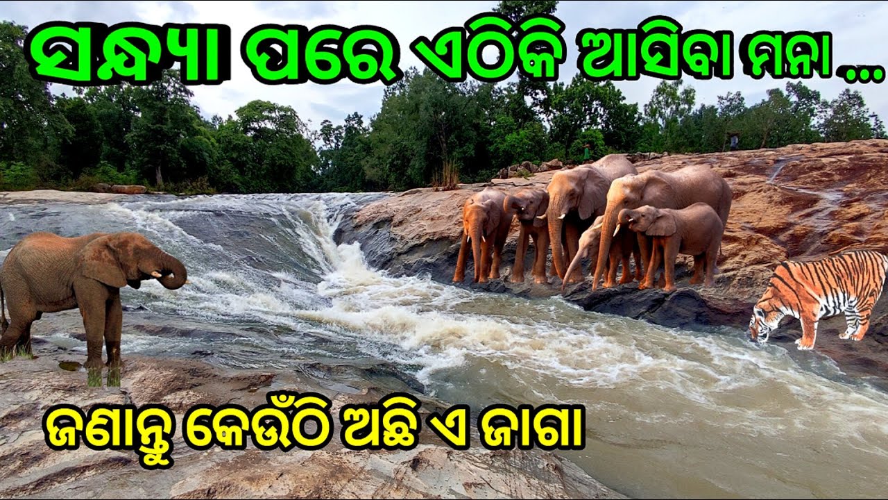 picnic ପାଇଁ ଜାଗା ଖଣ୍ଡେ | Harichandanpur | Keonjhar tourist places - YouTube