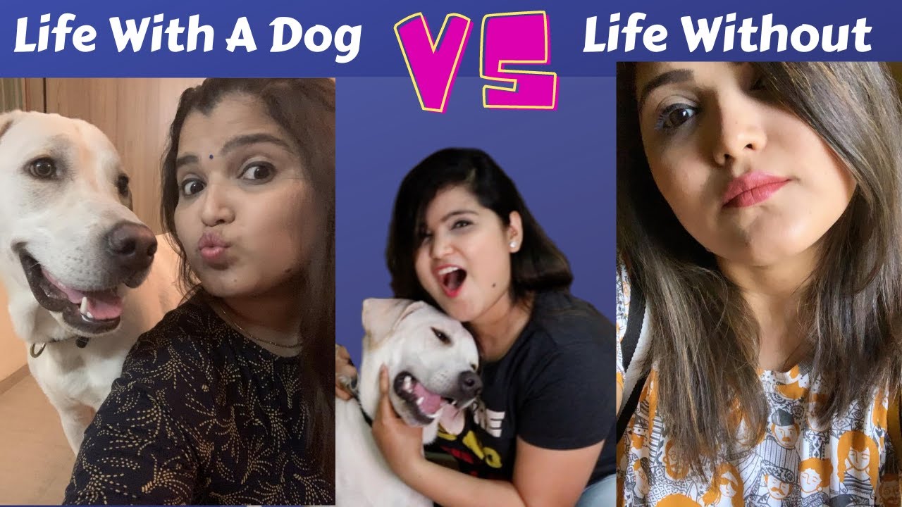 Life With Vs Without A Dog | Crazy Naari | Funny Labrador Dog Video ...