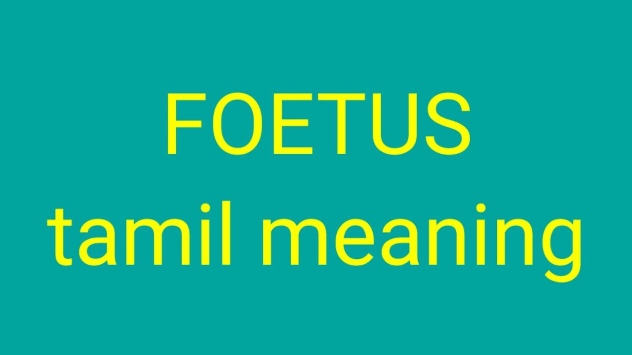 FOETUS Tamil Meaning sasikumar YouTube FOETUS Tamil Meaning sasikumar YouTube
