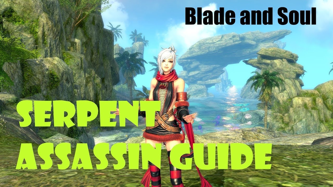 [Blade and Soul] Serpent Assassin Build and Rotation Guide! - YouTube