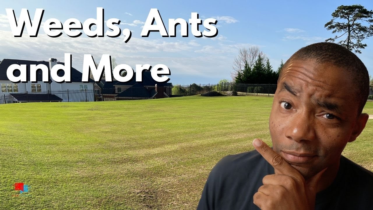 Spring Lawn Care Q&A - Golf Course Lawn - [Ron Henry LIVE] - YouTube