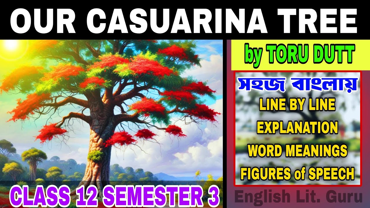 😊😊OUR CASUARINA TREE by Toru Dutt | Summary | Class 12 3rd Semestar ...