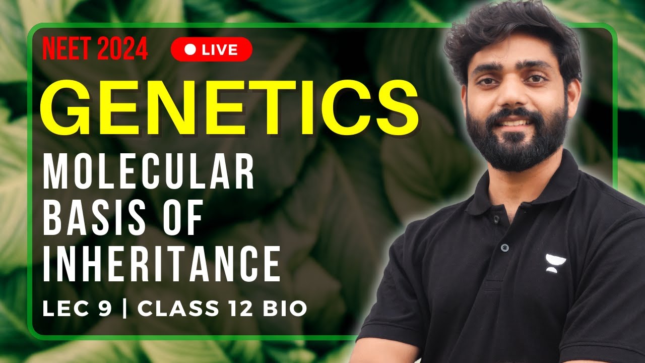 Genetics - Molecular Basis of Inheritance (L9) | Class 12 NEET Biology ...
