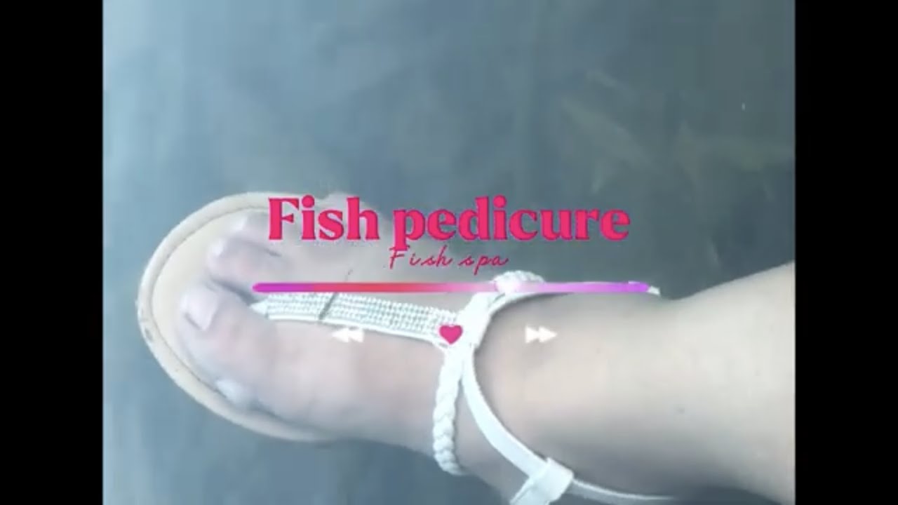 Fish spa / Natural Fish Pedicure / 4K video for better quality - YouTube