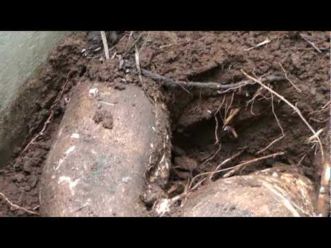 tapioca tuber - YouTube