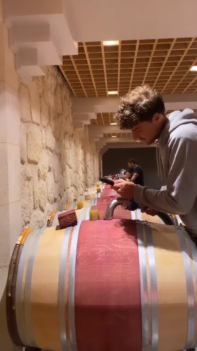 The Art of Racking the 2022 Vintage!🤩🍷🎥@chateauangelus #wine #racking #winemaking #winecellar ...