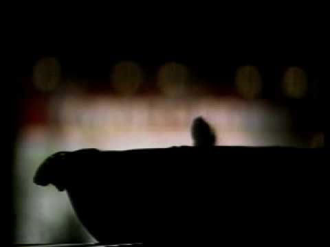 CHEK 6 sign-off 1987 - YouTube