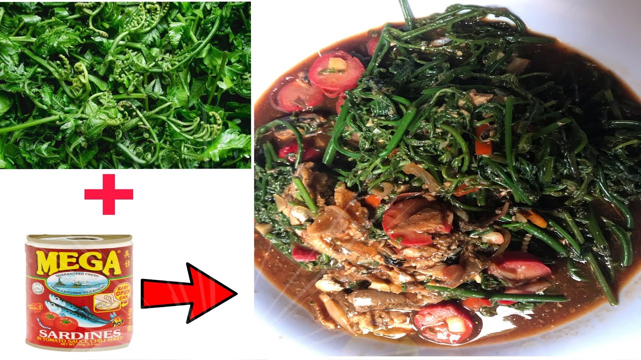 Ginisang Pako with Sardines|Easy &Healthy Pako Recipe - YouTube